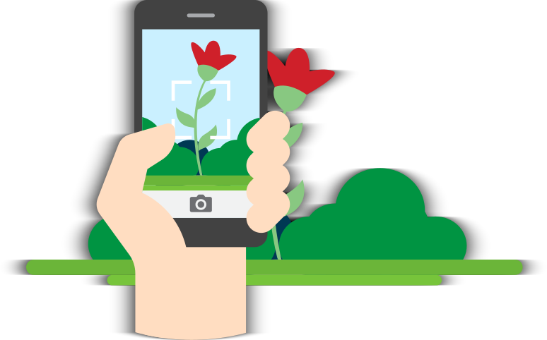 Plant Id App Uk Reverasite